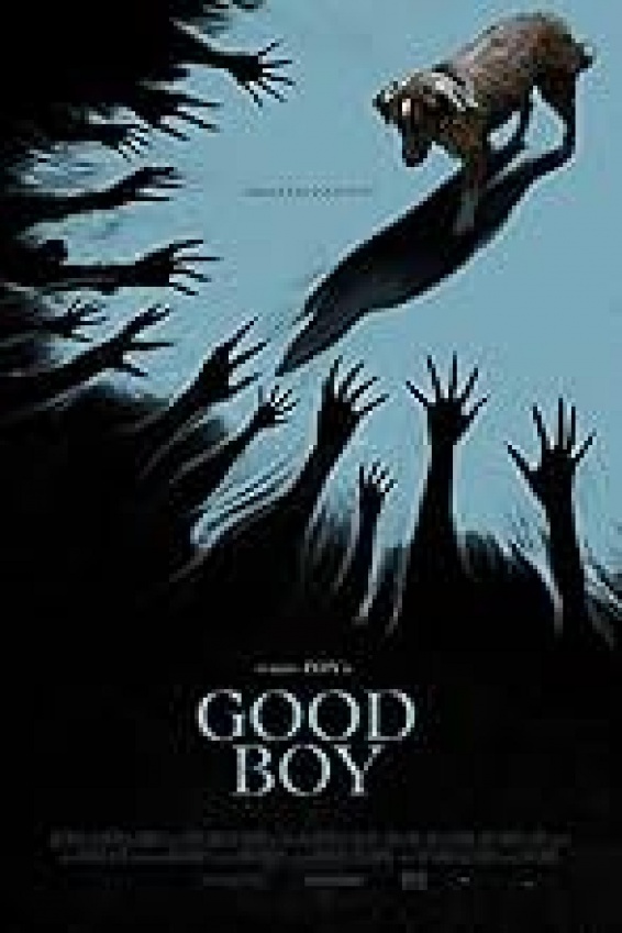 Phim Bom Menino - Good Boy vietsub full HD